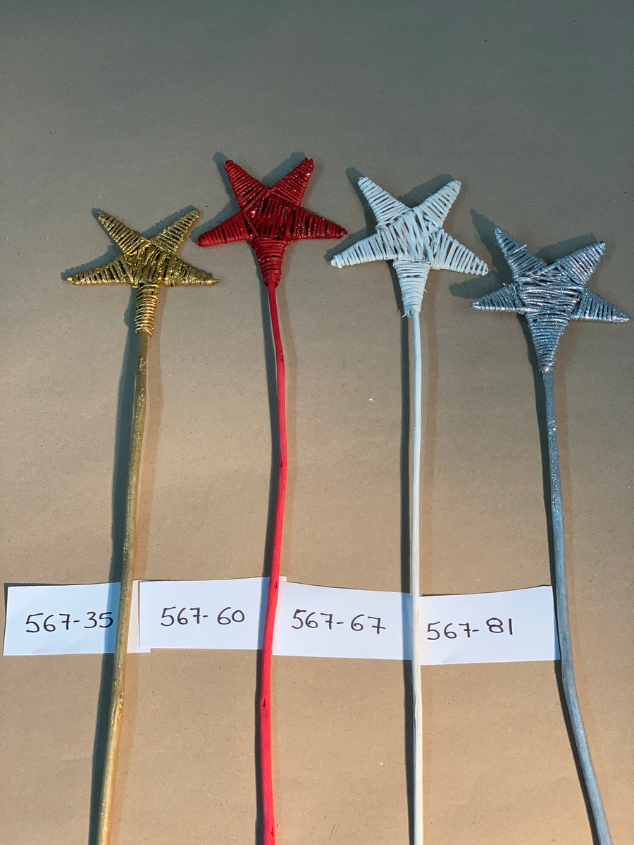 Lata star – Flora Import