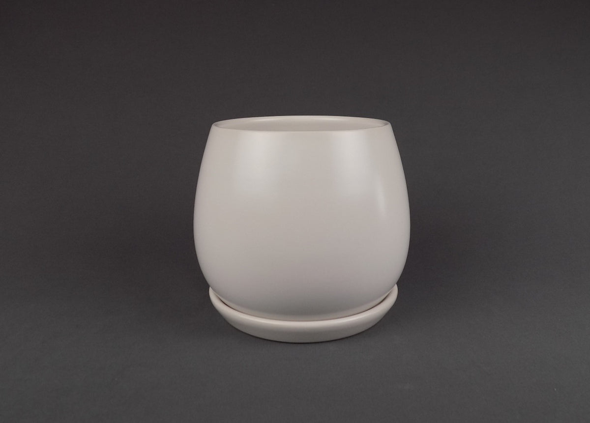 #SC59XL – Flora Import