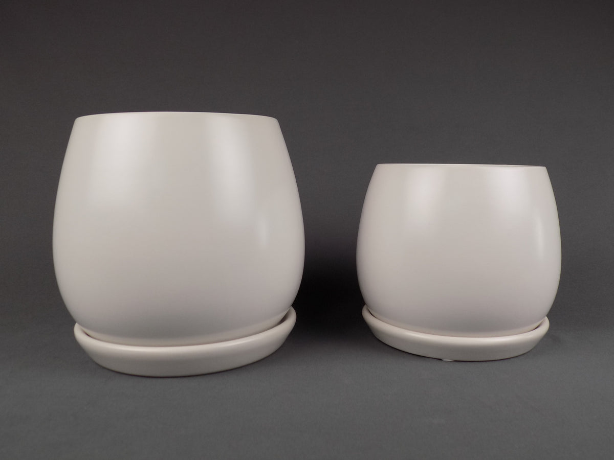 #SC59S – Flora Import