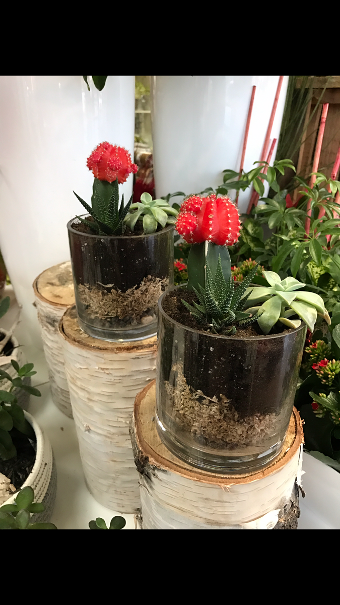 #G9 – Flora Import