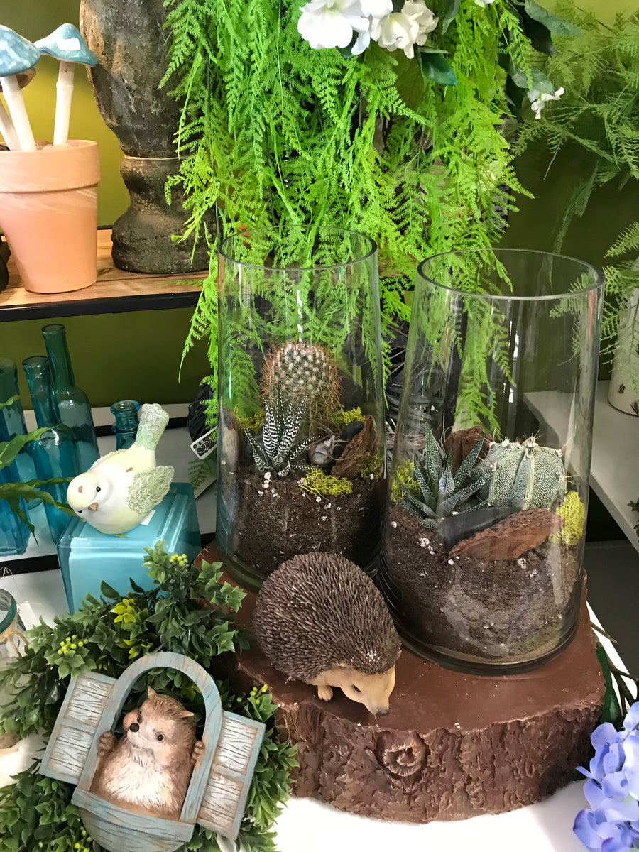 #G19 – Flora Import